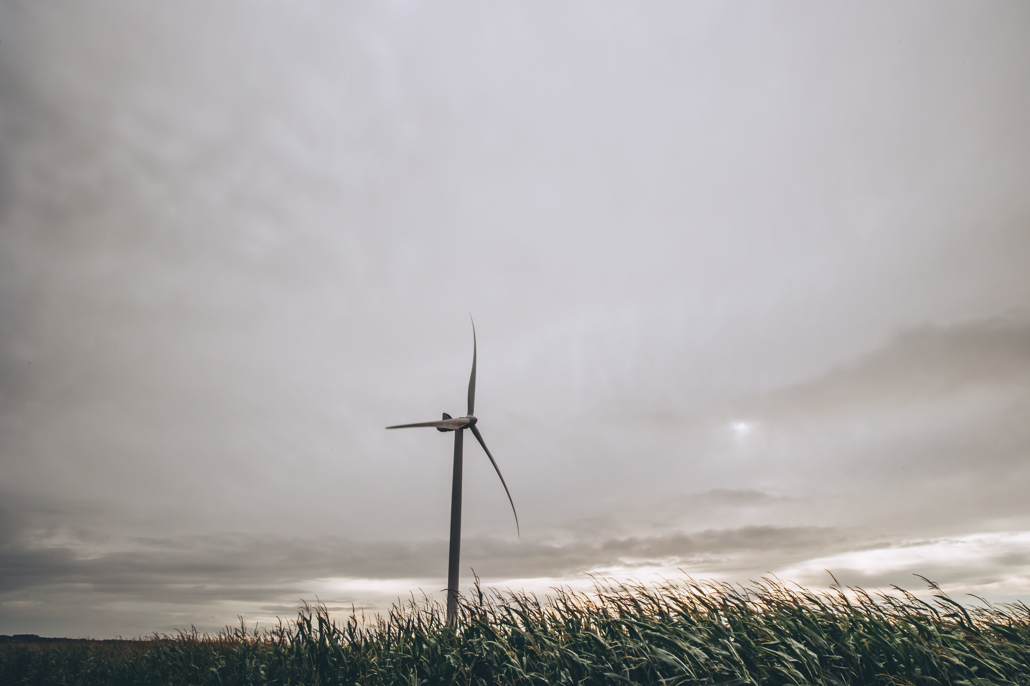 Boralex inaugure le parc éolien de Helfaut (Pas-de-Calais) et franchit ...
